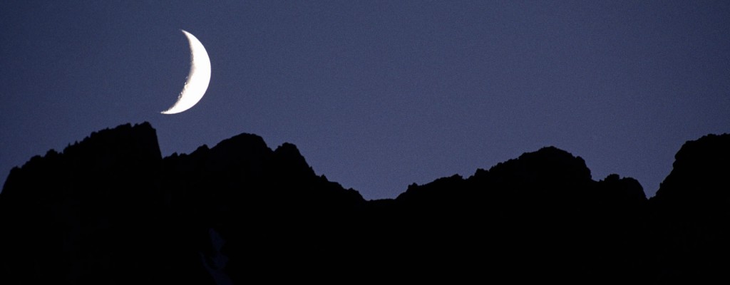 Sawtooth Pack Stories - Living with Wolves