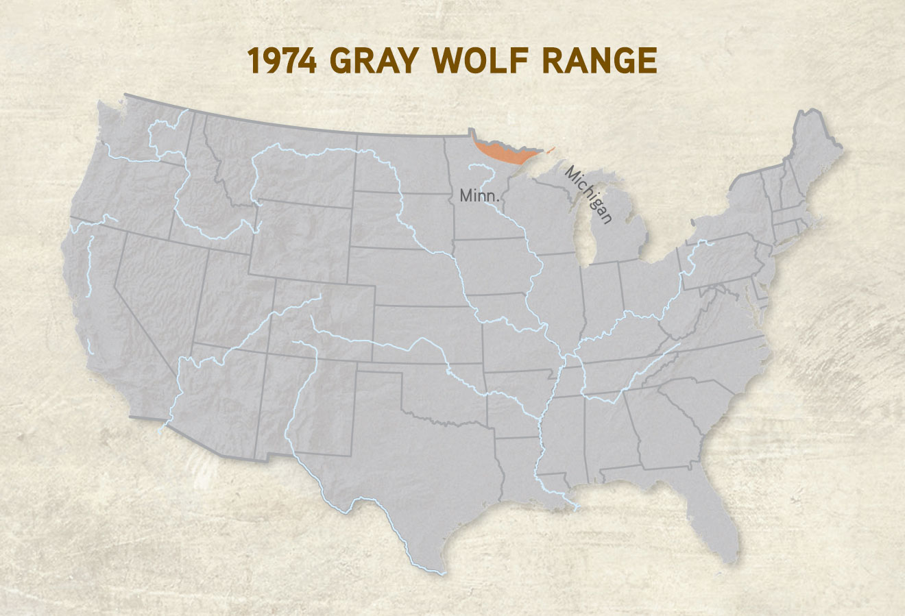 gray-wolf-74web2 - Living with Wolves