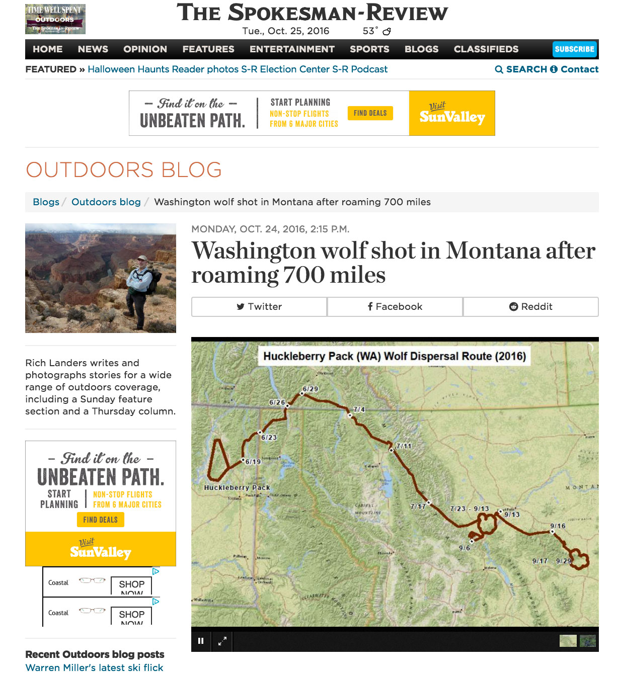 Washington wolf shot in Montana after roaming 700 miles - Living with ...