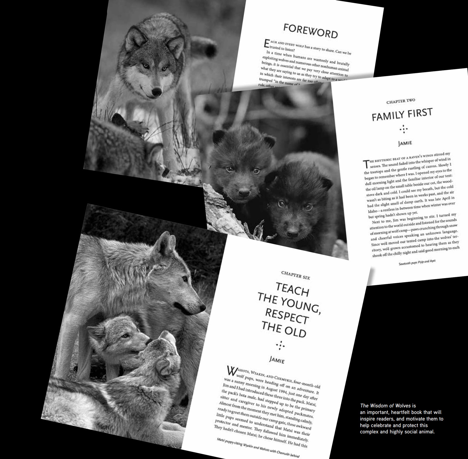 new.bookWofW - Living with Wolves