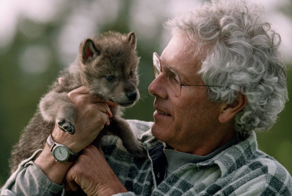 Our History - Living with Wolves