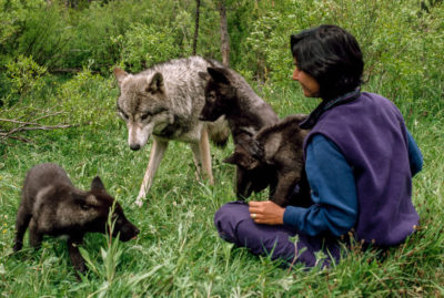 Our History - Living with Wolves