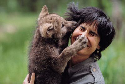 Our History - Living with Wolves