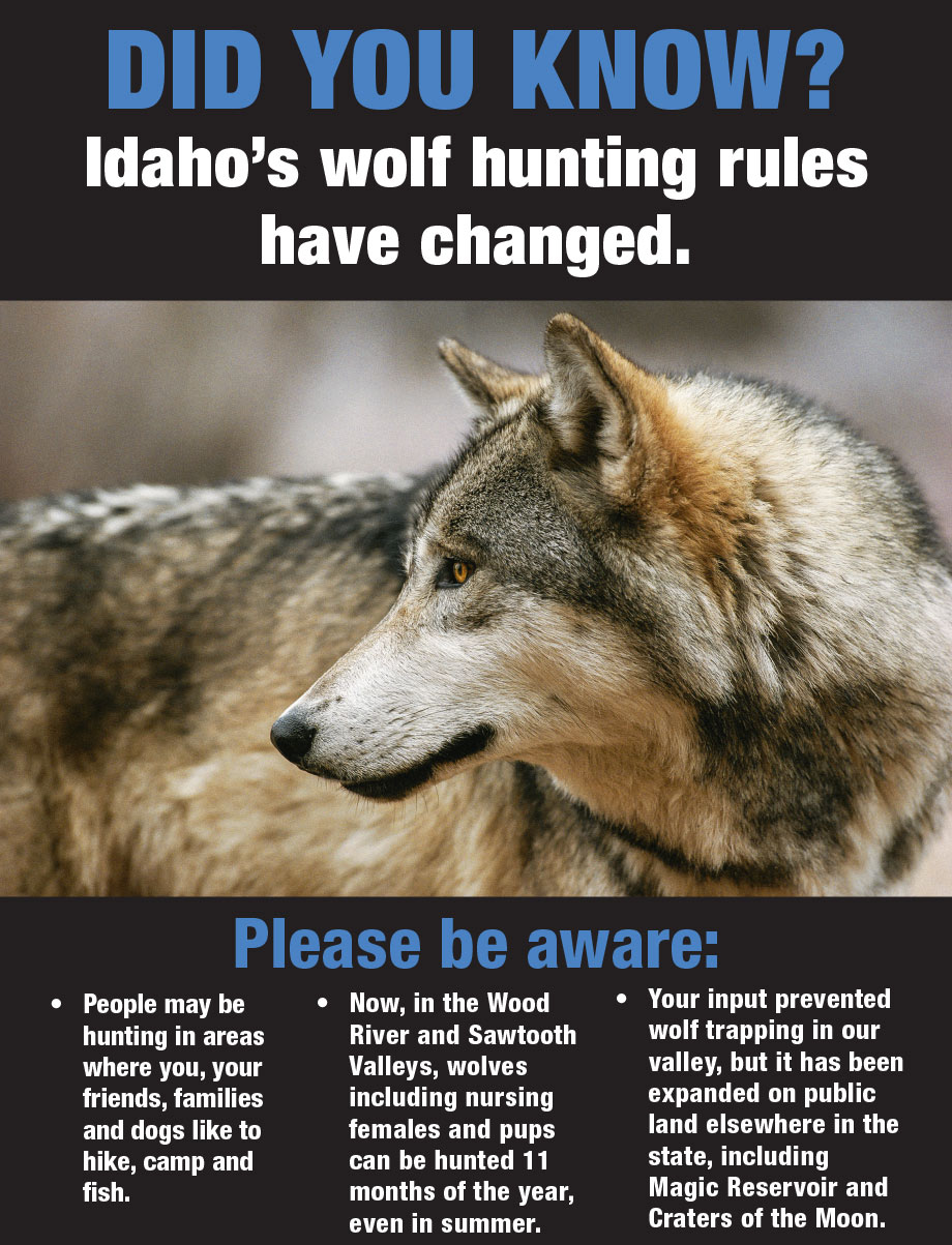 The Language of Wolves - Living with Wolves