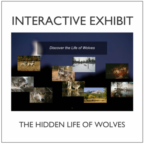 Living with Wolves | interactive exhibit - Living with Wolves