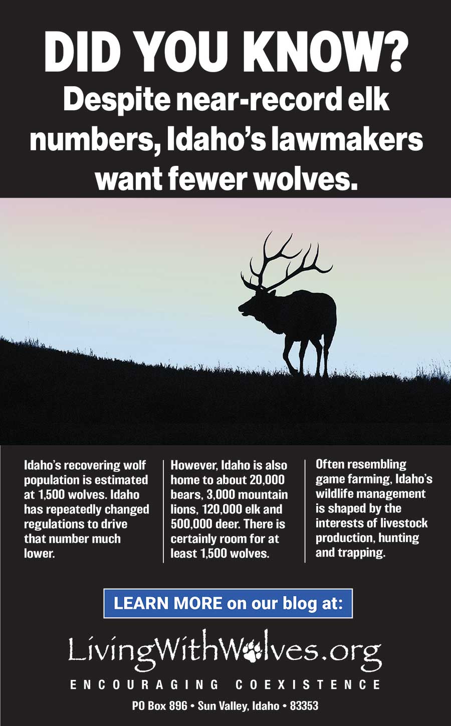 2022-New-Despite - Living with Wolves
