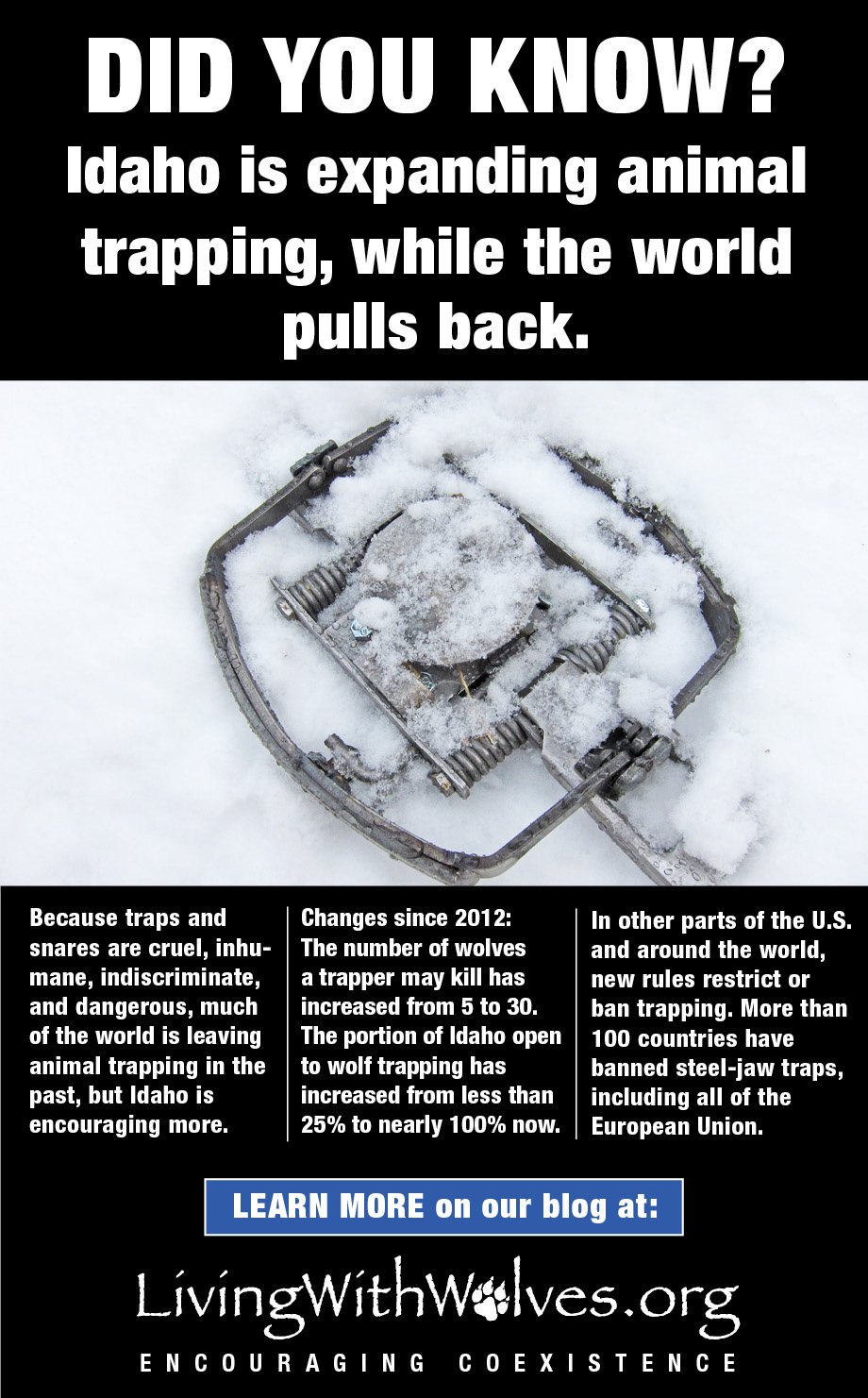 DID YOU KNOW? Idaho is expanding animal trapping while the world pulls ...