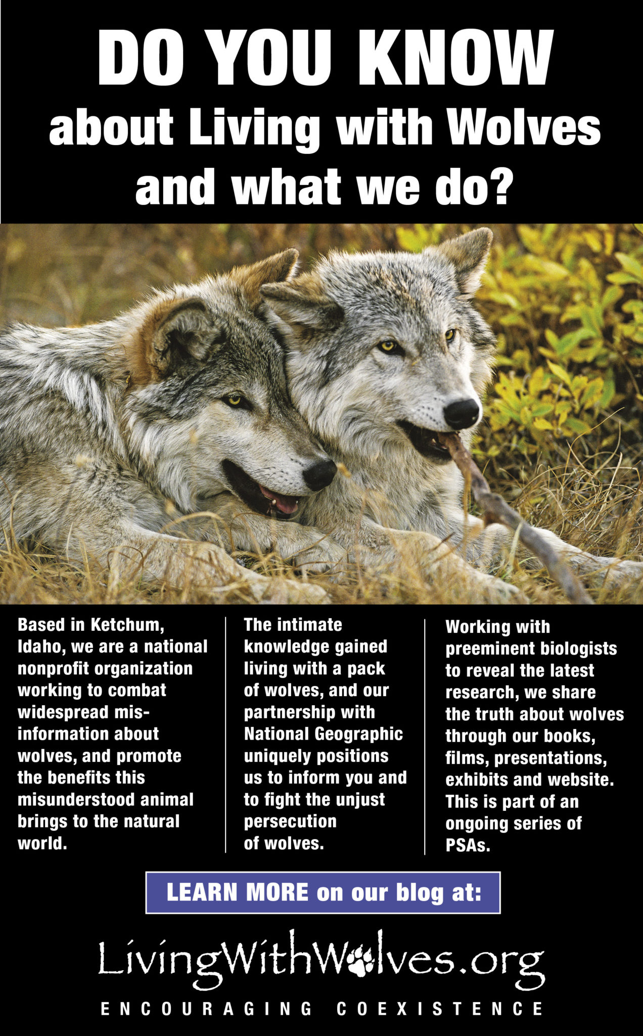 In the News - Living with Wolves