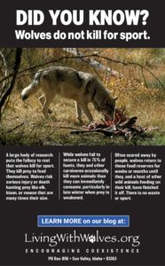 In the News - Living with Wolves