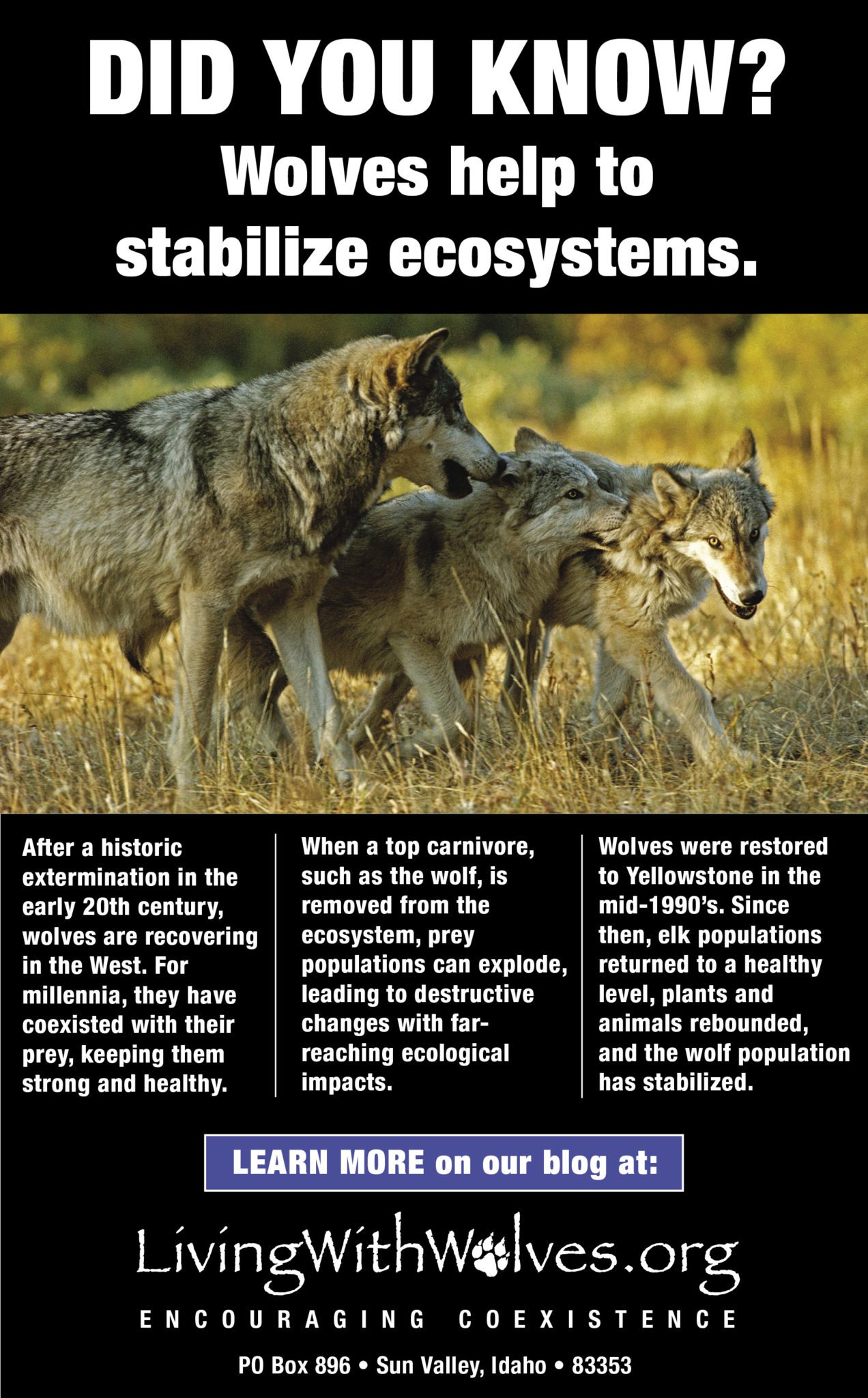 In the News - Living with Wolves