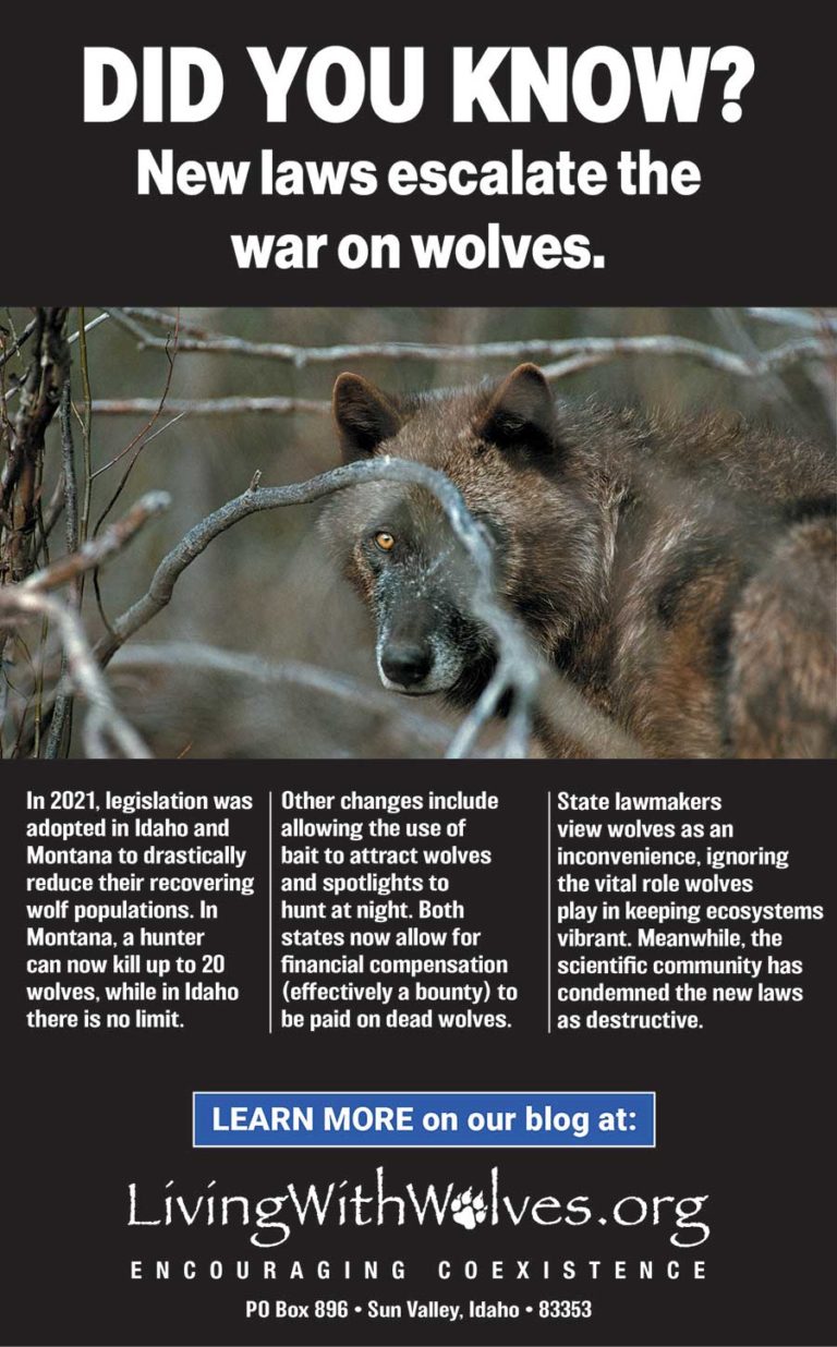 In the News - Living with Wolves