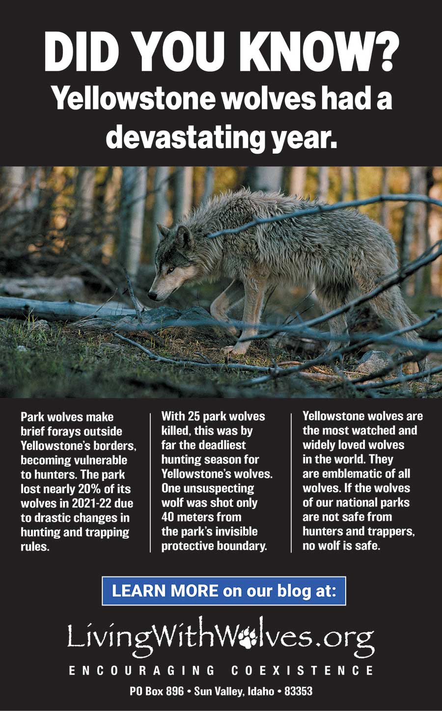 In the News - Living with Wolves