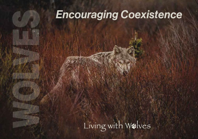 Educational Resources - Living with Wolves
