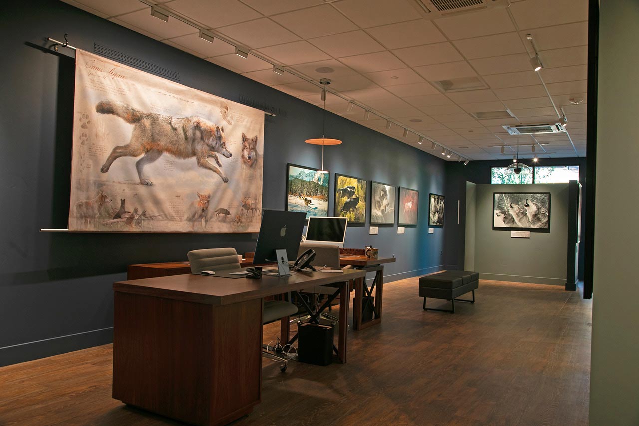 2ms1J3A8593-Banner-1 - Living with Wolves