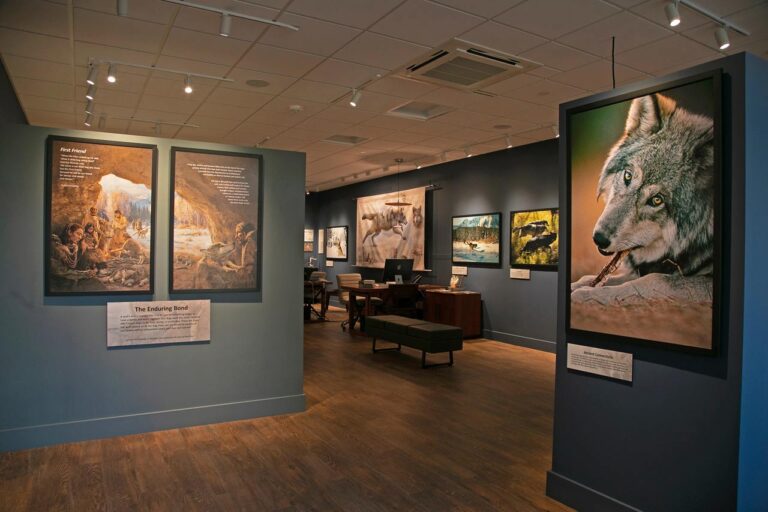 Our Museum - Living with Wolves