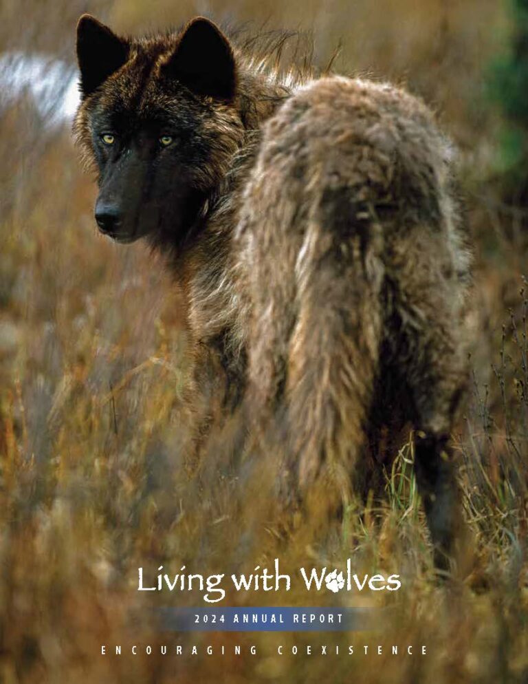 Protecting Wolves and Lifestock - Living with Wolves
